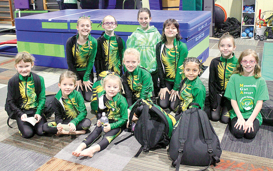 Elkins hosts gymnastics meet at MGA | News, Sports, Jobs - The ...
